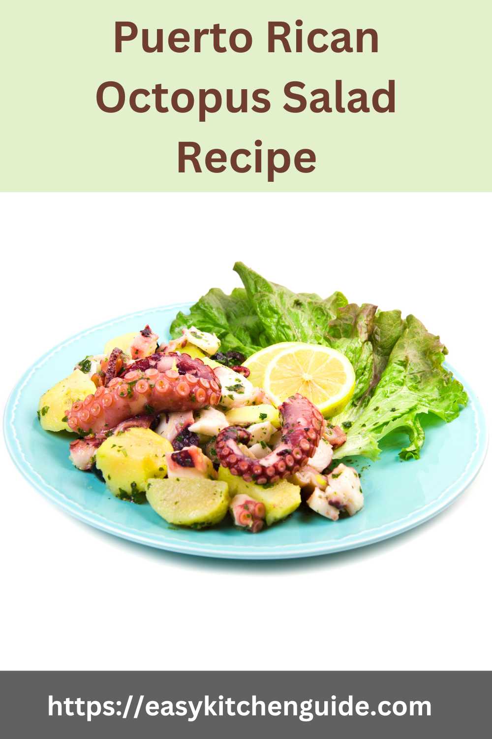 Puerto Rican Octopus Salad Recipe - Easy Kitchen Guide