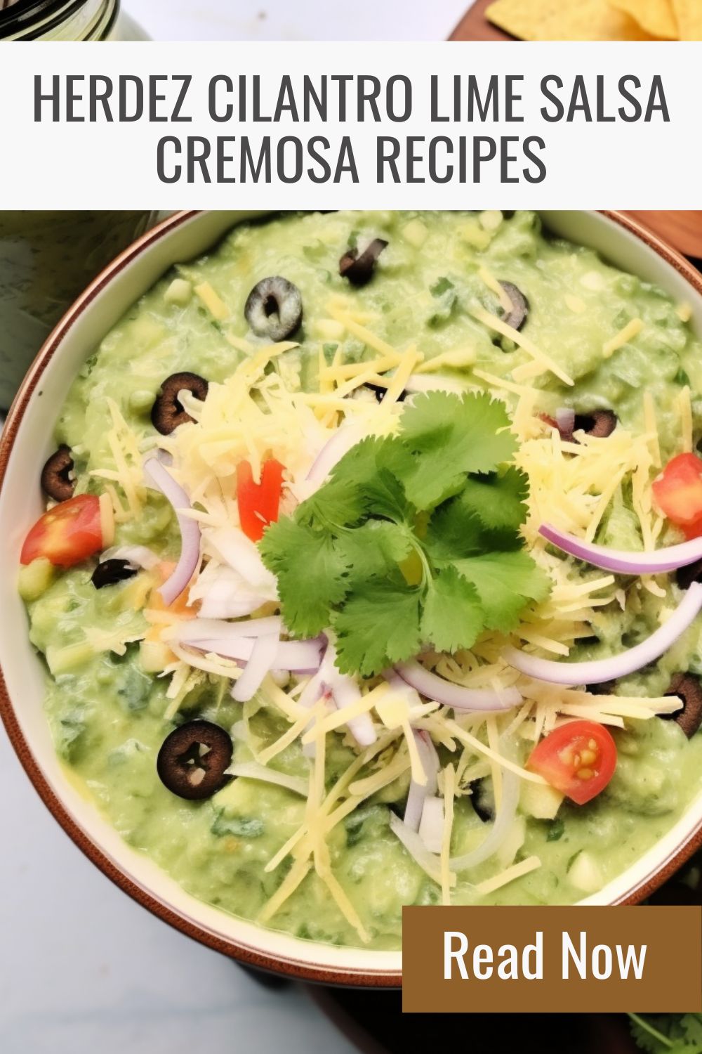 Herdez Cilantro Lime Salsa Cremosa Recipes